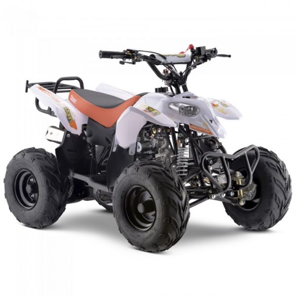 MINI QUAD 110CC ROAN PREDATOR PRO – MeLoPidoYa