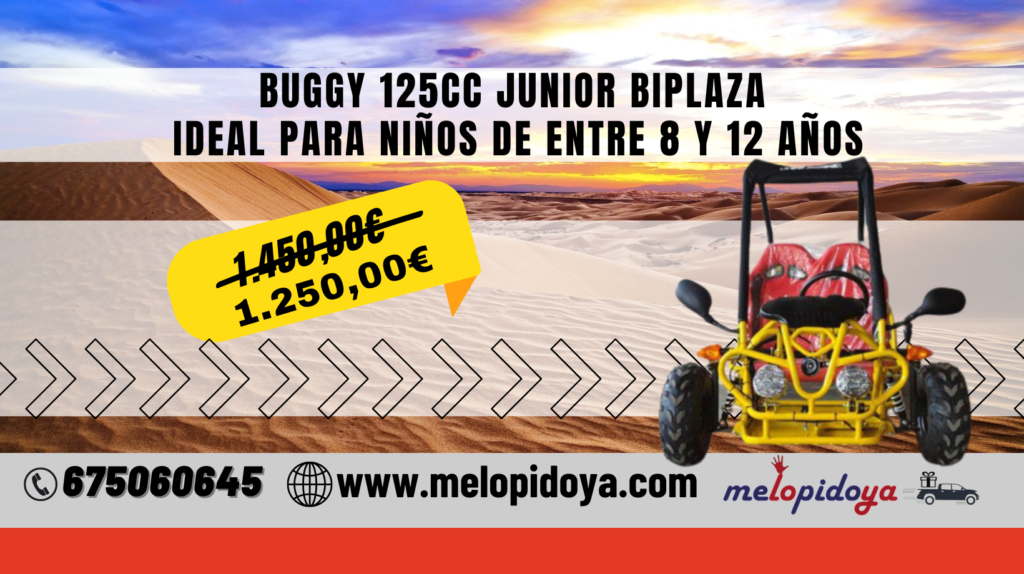 BUGGY 125CC JUNIOR BIPLAZA Ideal para niños de entre 8 y 12 años (1 ...
