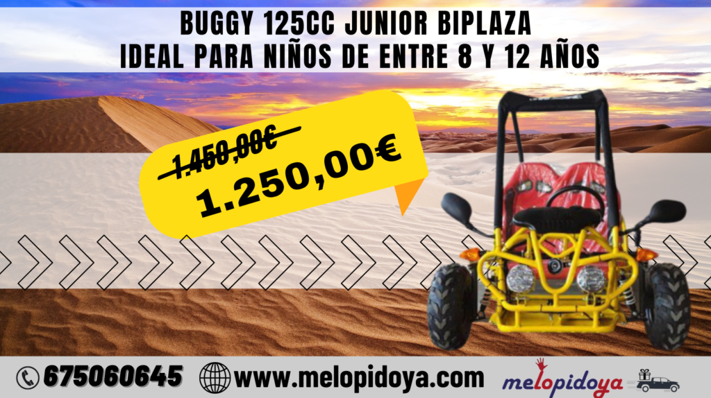 BUGGY 125CC JUNIOR BIPLAZA Ideal para niños de entre 8 y 12 años ...